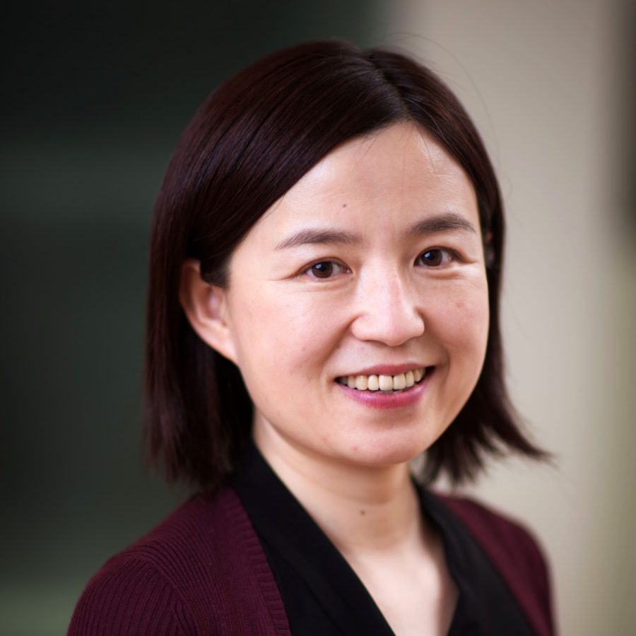 DEI Working Group | World Molecular Imaging Society